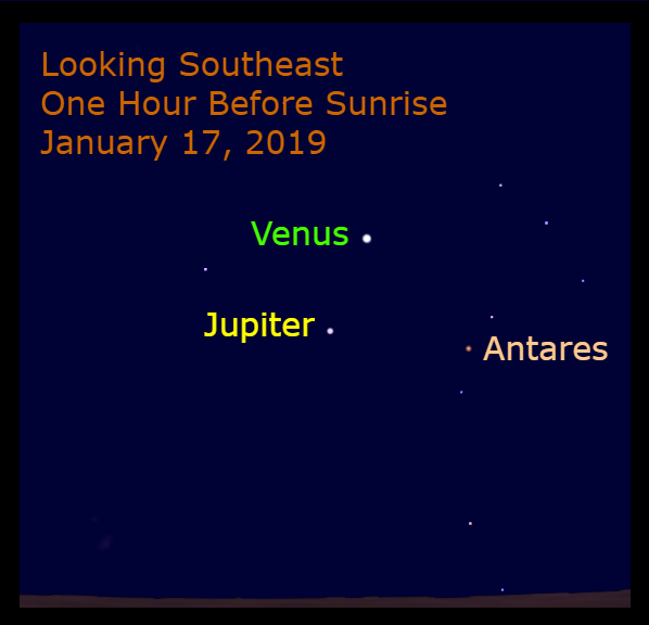 Venus in the Morning Sky, 2018-2019 – When the Curves Line Up
