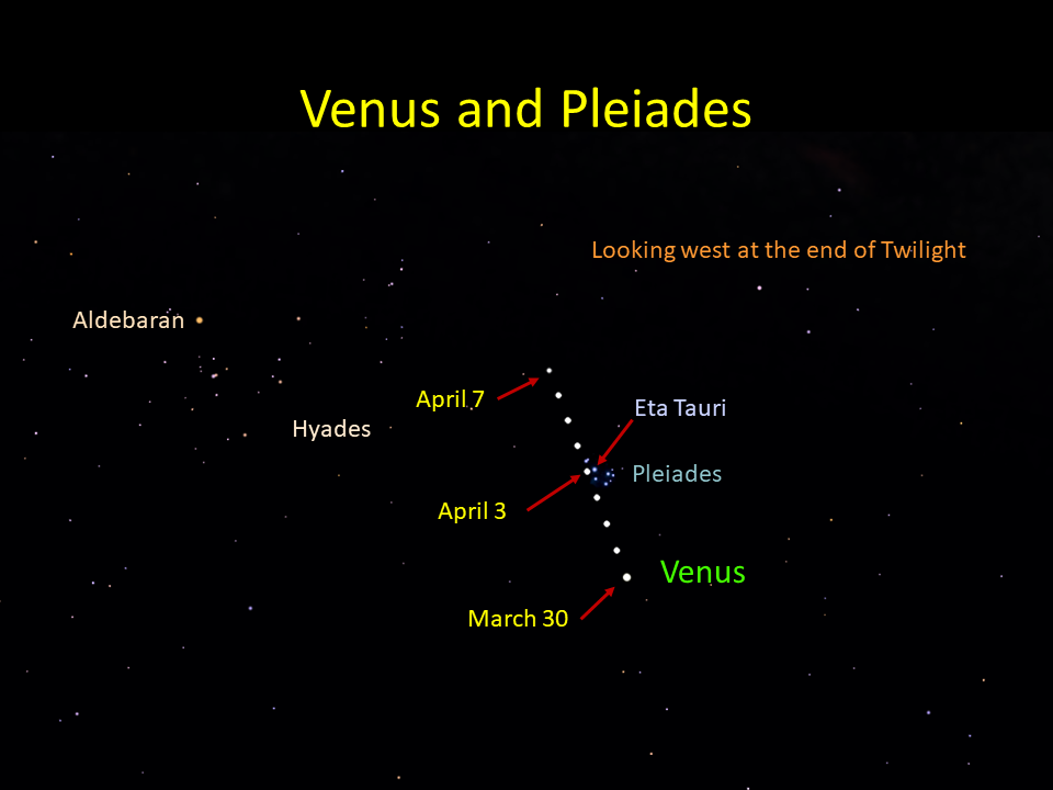 2019-2020: Venus as an Evening Star – When the Curves Line Up