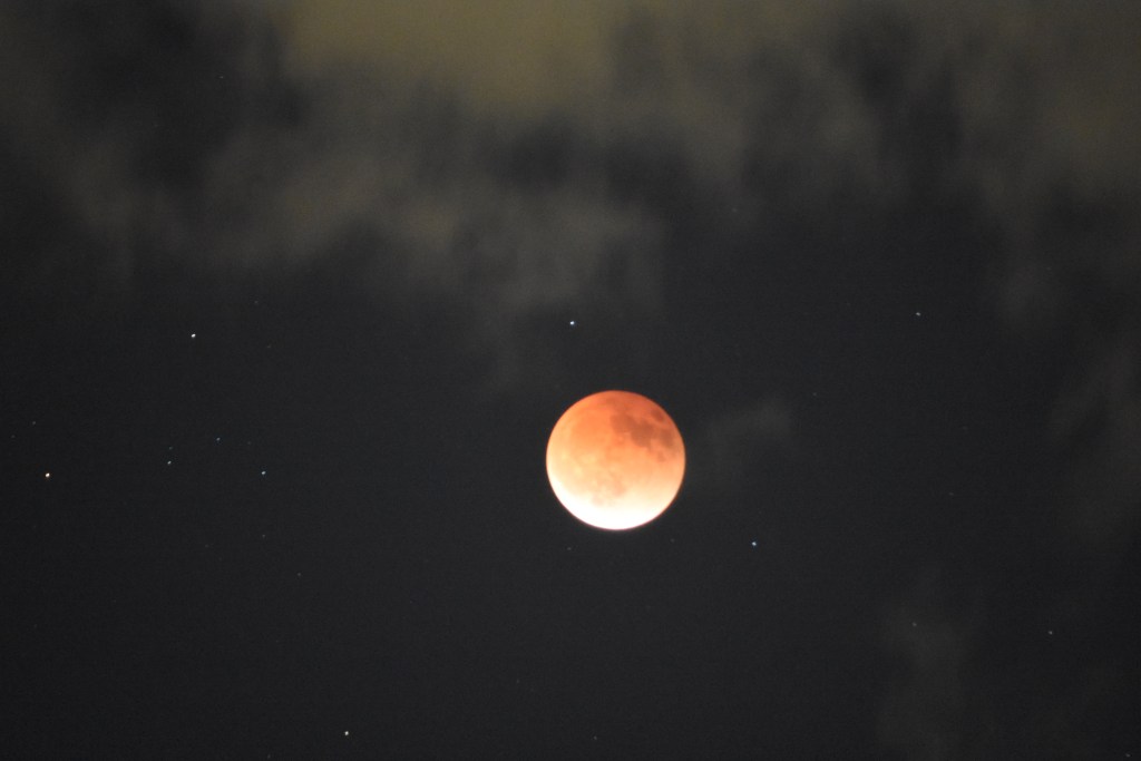 2022, November 8: Morning Lunar Eclipse, Mercury, Superior Conjunction ...